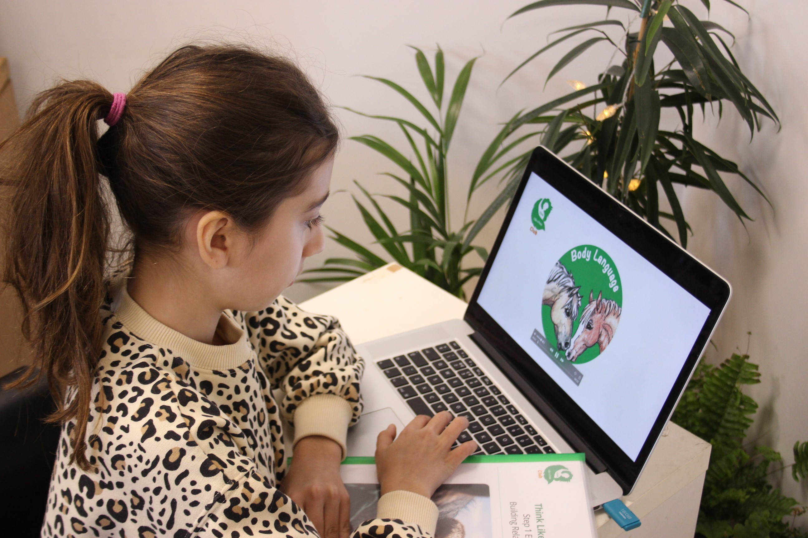 The Charm of Pony Breeds and Why Children Love Them