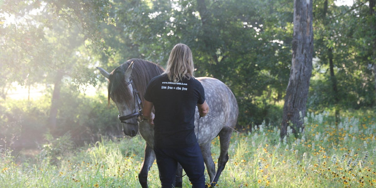 Rupert Isaacson on Equine Assisted Therapy and the 'Horse Boy' Method
