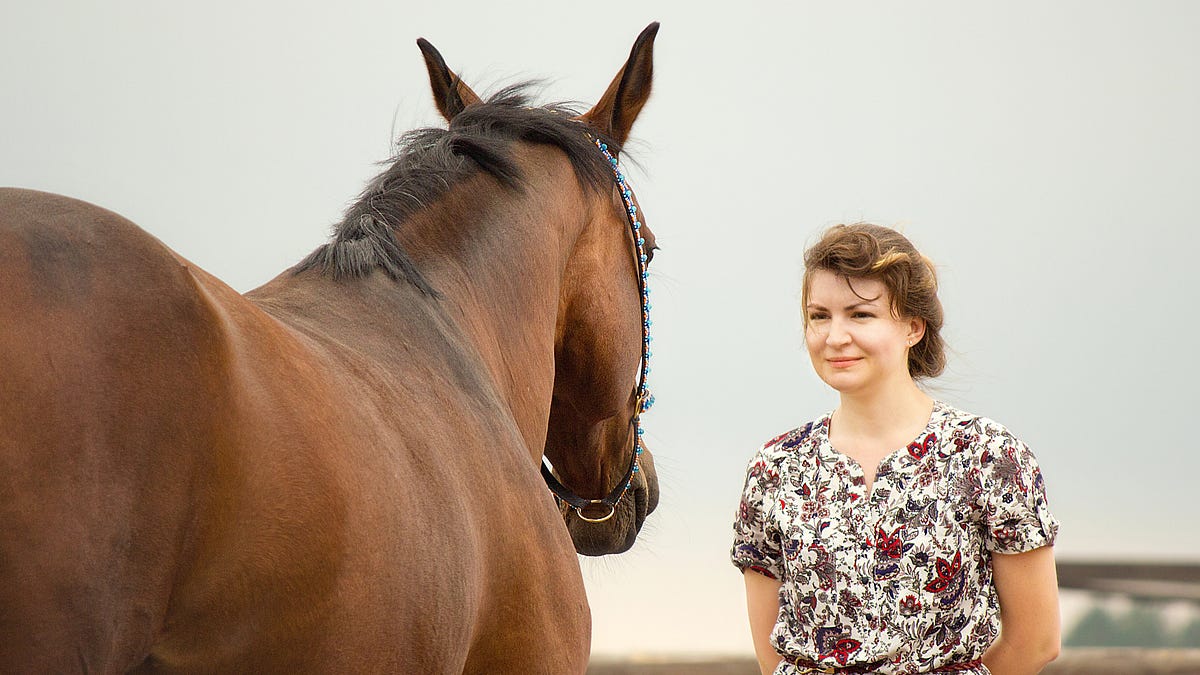 An Evidence-Based Approach to Horse Training Methods
