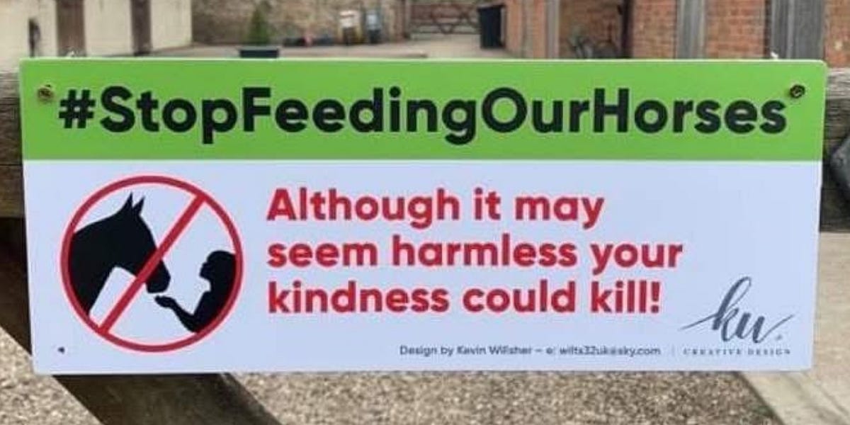 When Strangers Hold Your Horse's Life in Their Hands