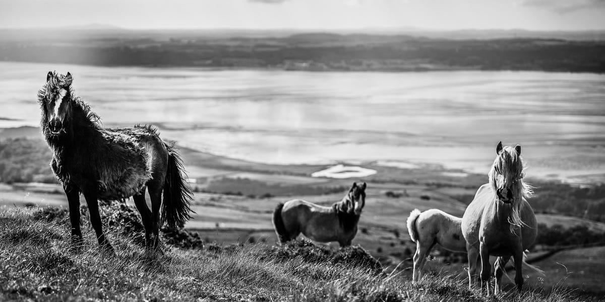 Finding Freedom Through the Lens - by Theresa